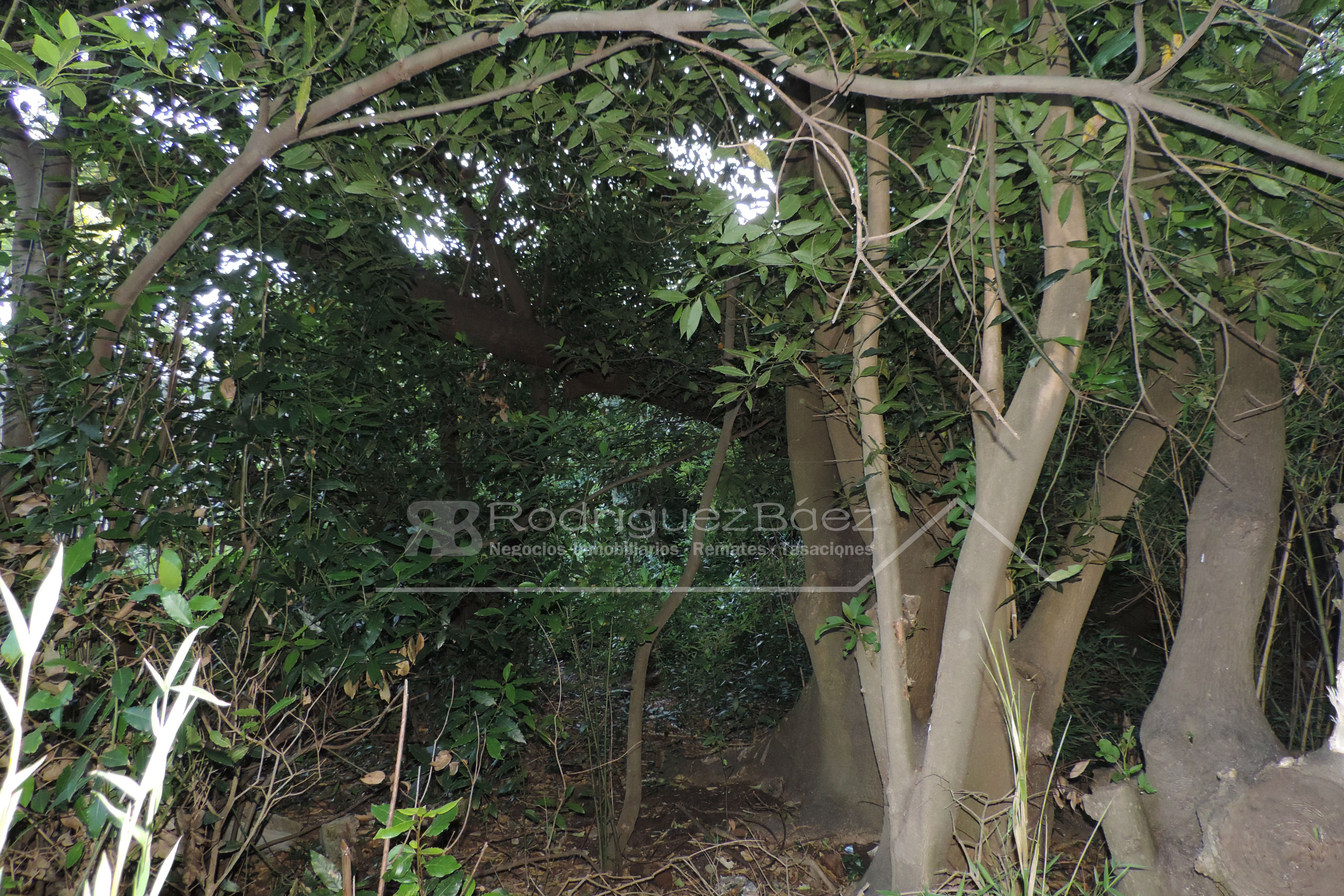 Terreno en Cerro | Veocasas